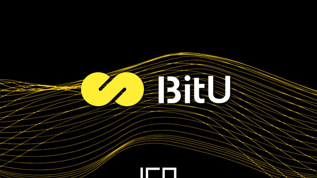 BitU Protocol ICO: Innovating Stability with $BITU in 2024 – Real Investment Star